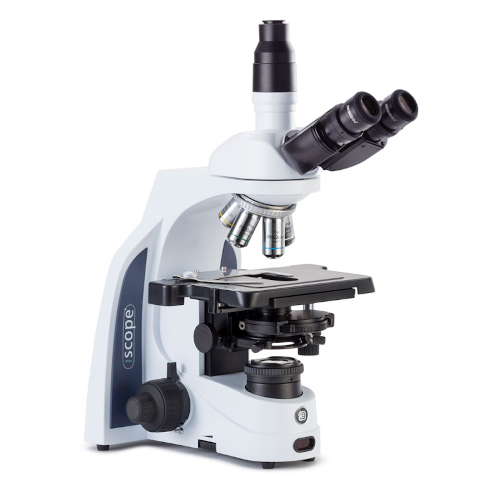 Microscopio trinocular iScope con oculares EWF de 10x/22 mm, objetivos de fase plana PLPHi 10/20 ...