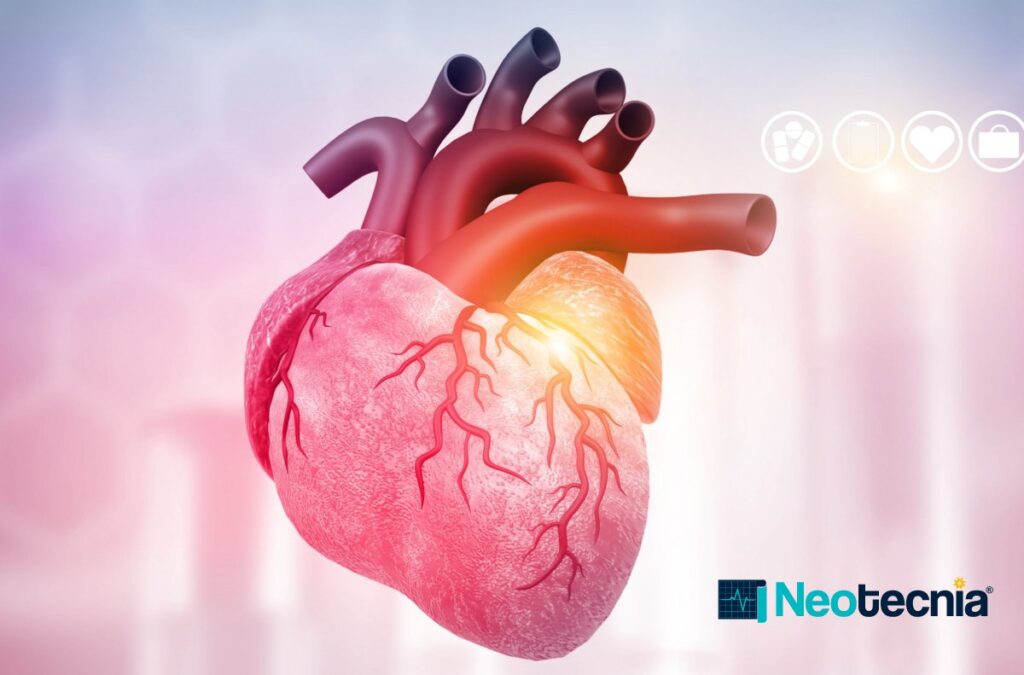 Por qué celebrar el Día Mundial del Corazón - Grupo Neotecnia